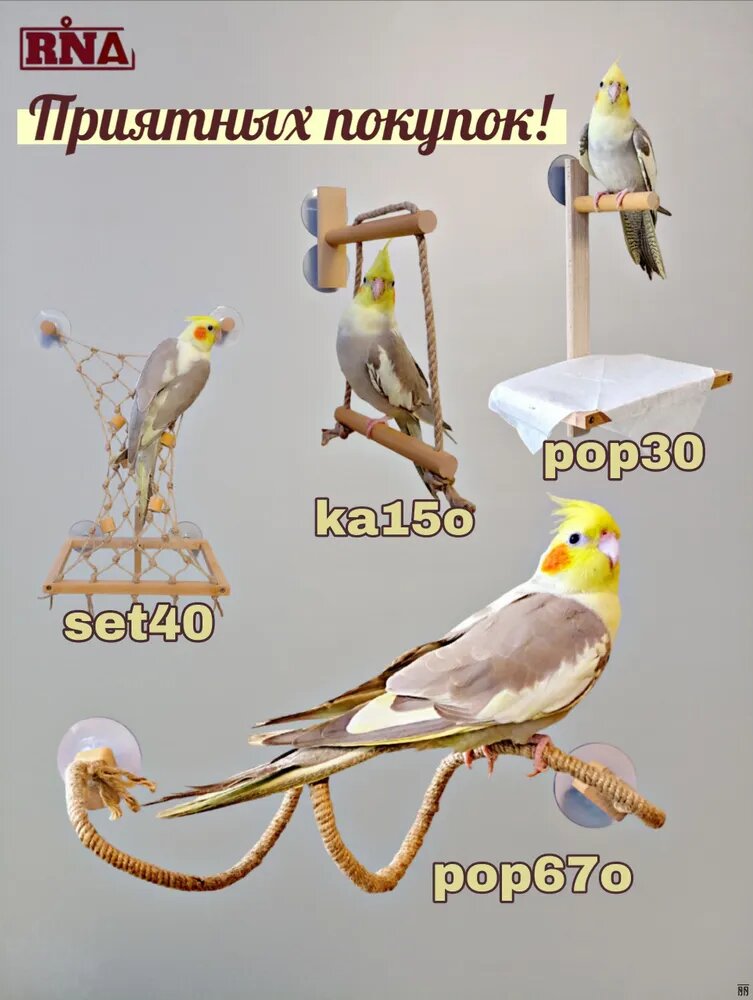 Жердочка — фото 1