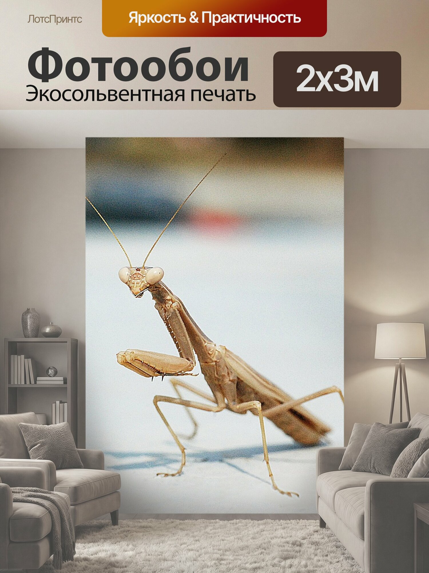 Фотообои "Богомол, макрос, насекомое" 200x300 см. экосольвентная печать