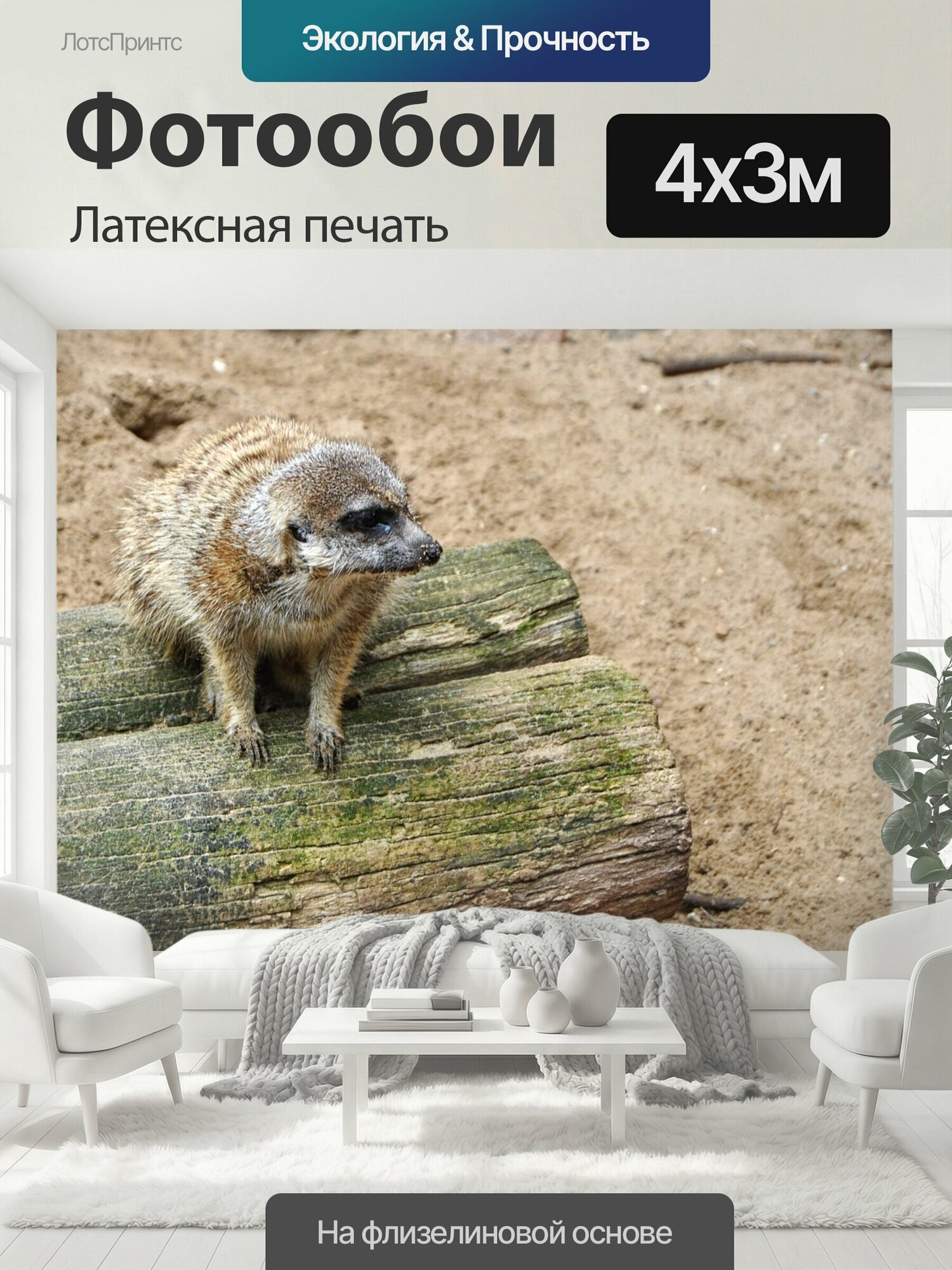Фотообои моющиеся ударопрочные "Сурикат, ствол дерева, животное" 400x300 см. латексная печать