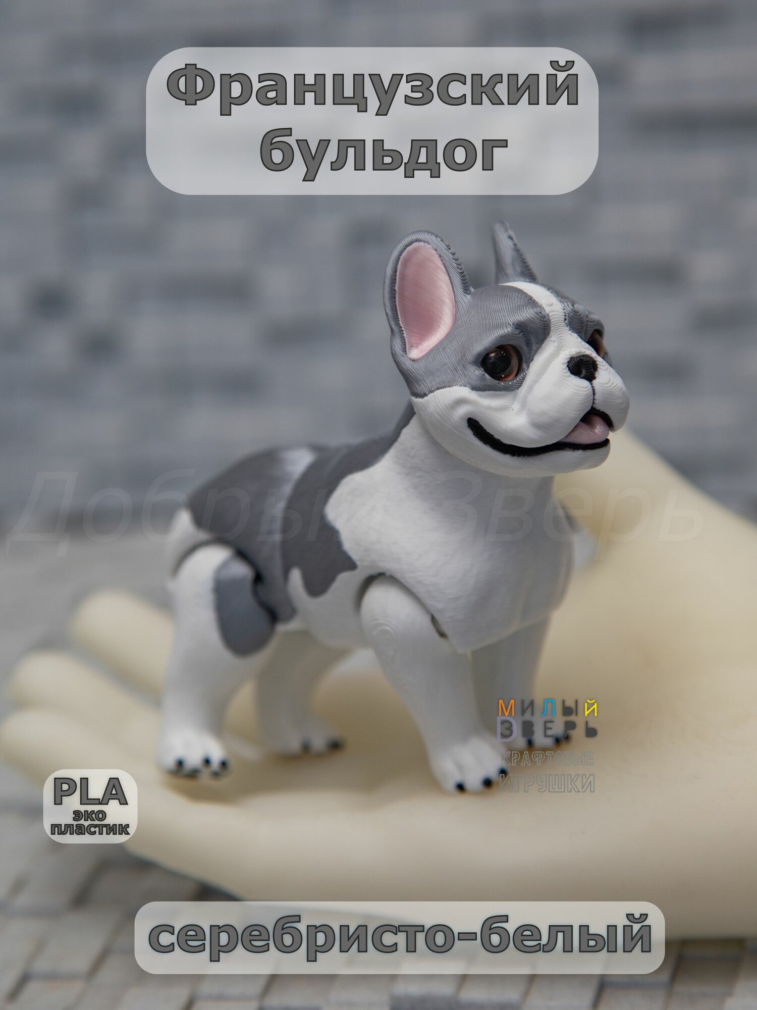 Французский бульдог серебристо-белый