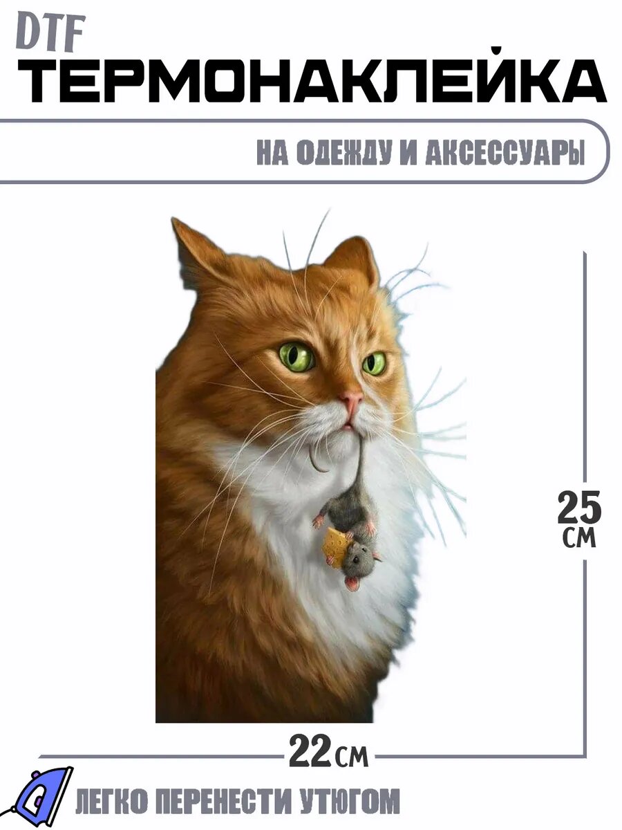 Термонаклейка Рыжий Кот С Мышкой