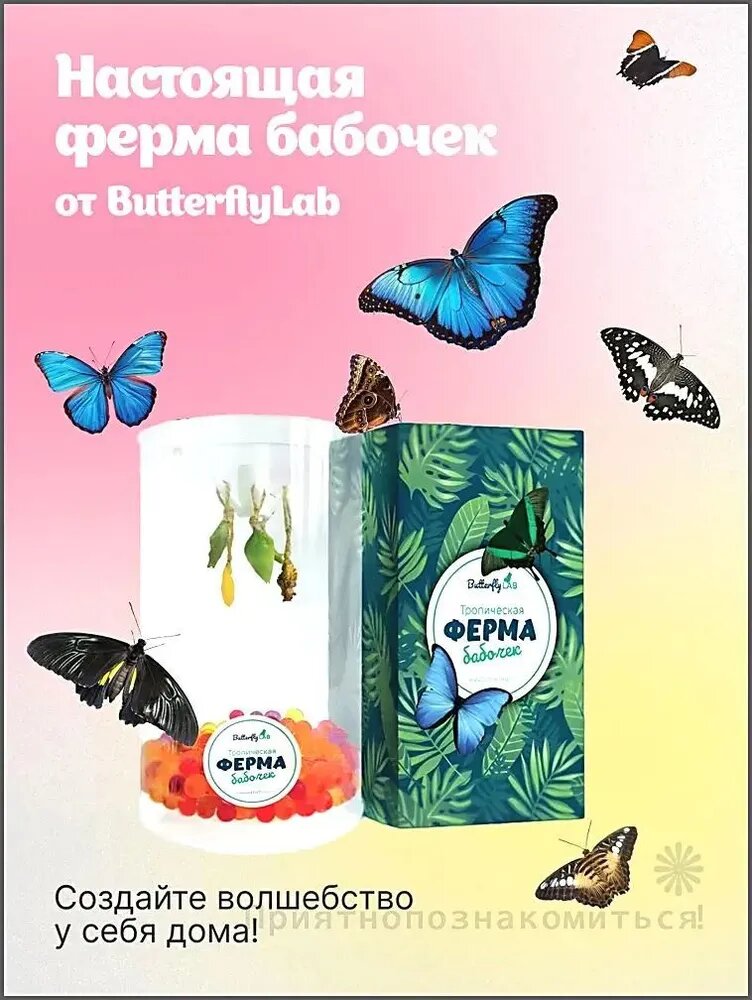 Ферма бабочек — фото 1