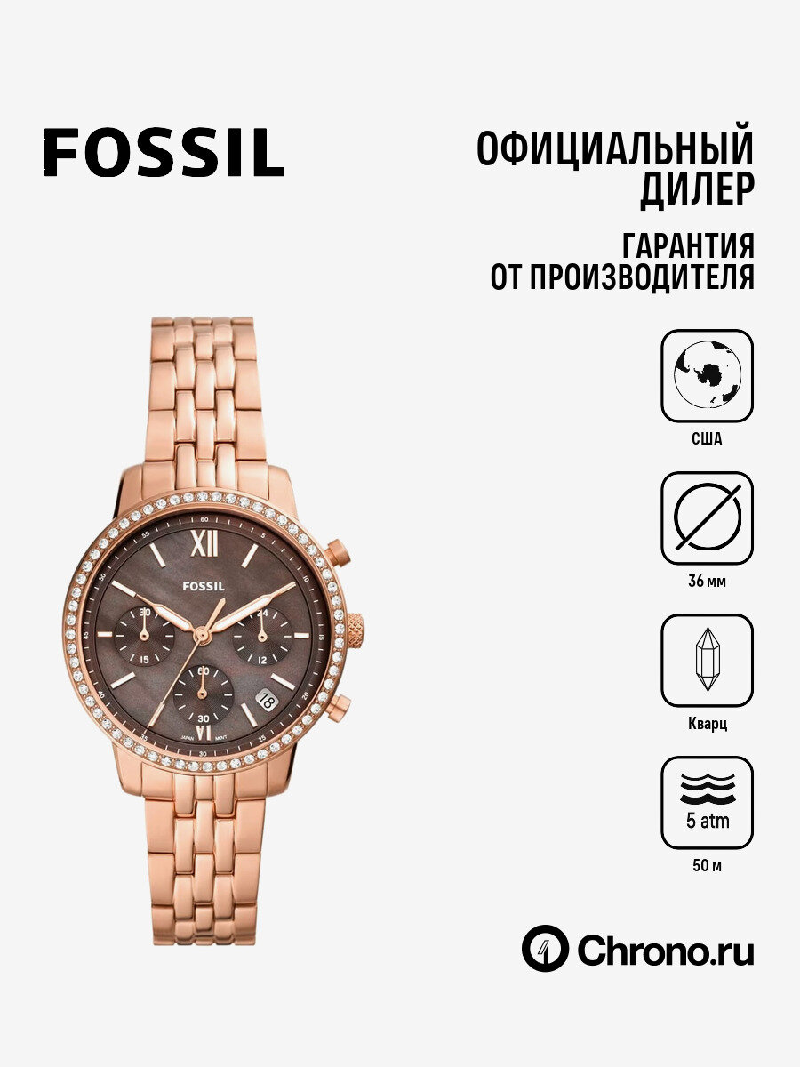  FOSSIL