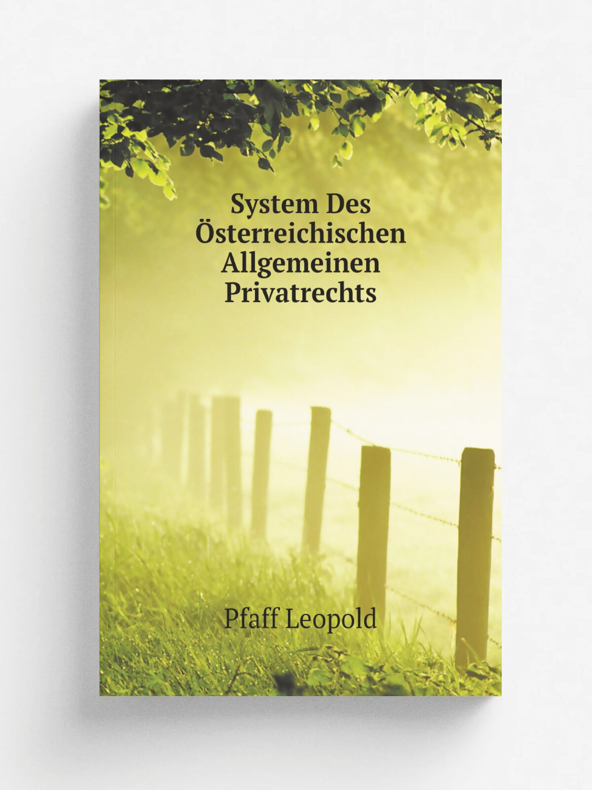 System Des . sterreichischen Allgemeinen Privatrechts (Grundriss Und Ausf.hrungen) (German Edition)