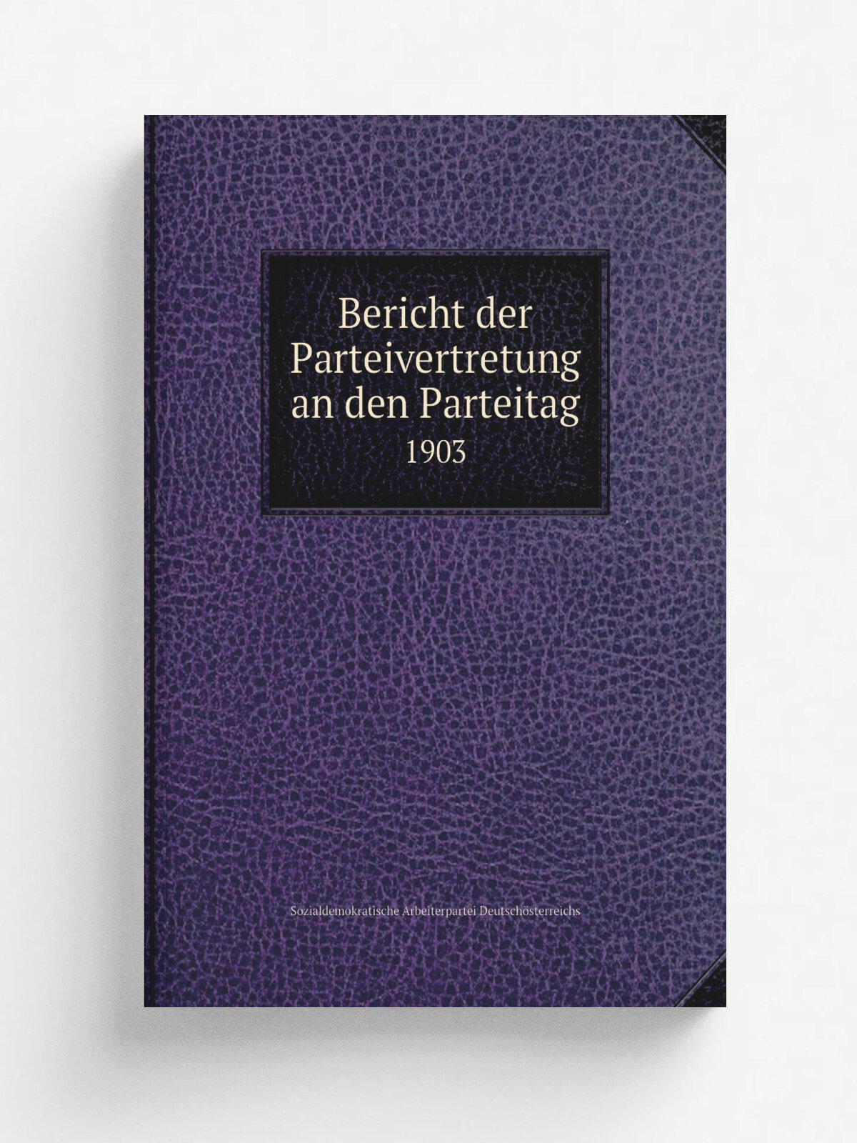 Bericht der Parteivertretung an den Parteitag. 1903 | Sozialdemokratische Arbeiterpartei Deutsch.sterreichs | Wien F. Skaret . etc. | Репринт