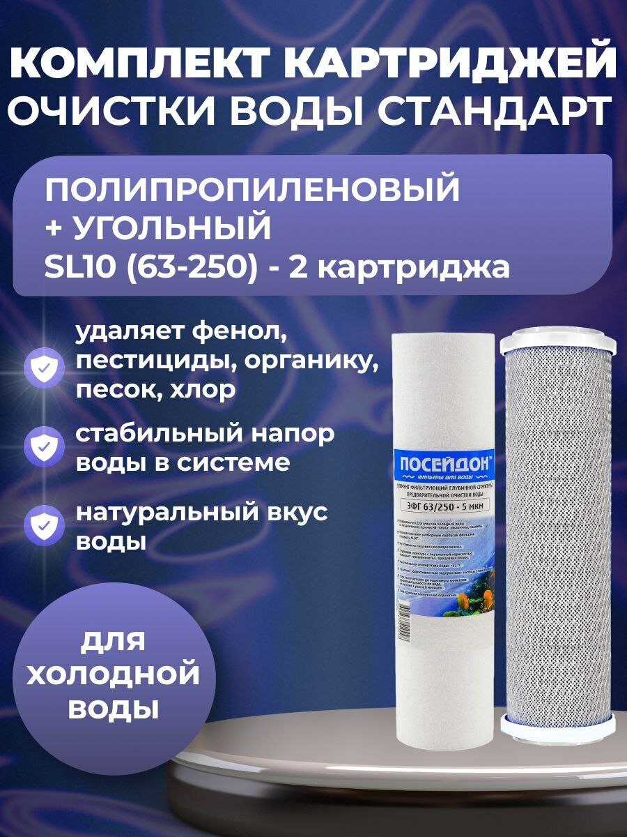 Пропилен+Уголь 63/250 SL10, комплект 2 фильтра