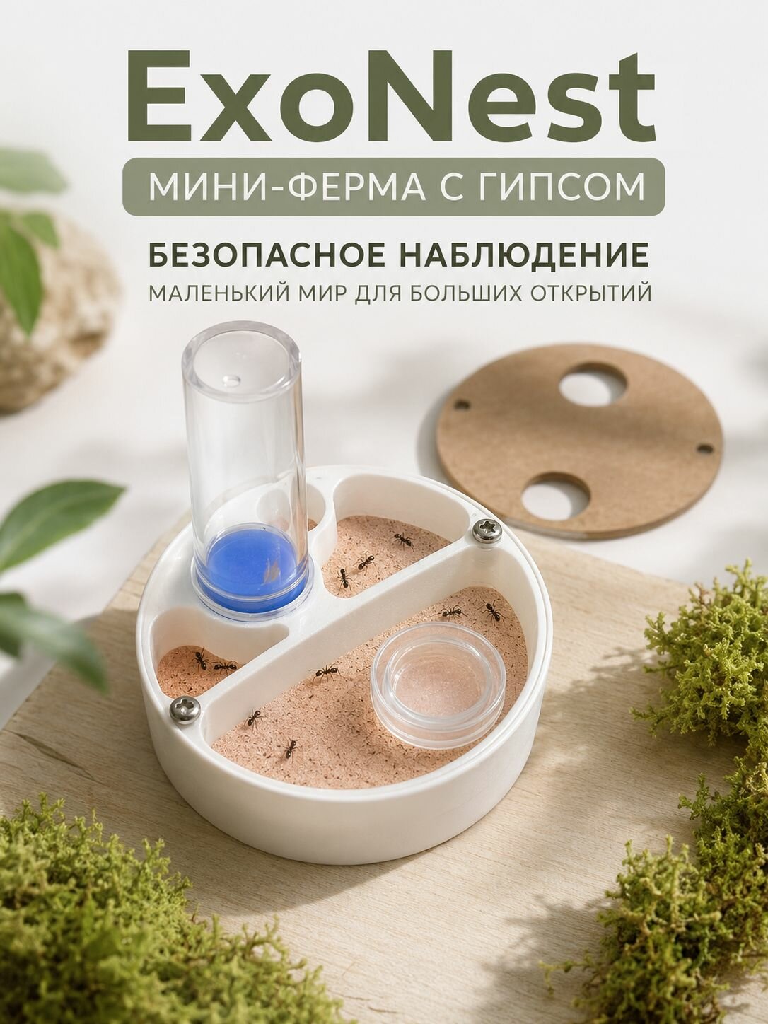 ExoNest Мини формикарий для муравьёв 9 9 см с гипсовым основанием и увлажняющей башней, круглая муравьиная ферма для наблюдения за колонией