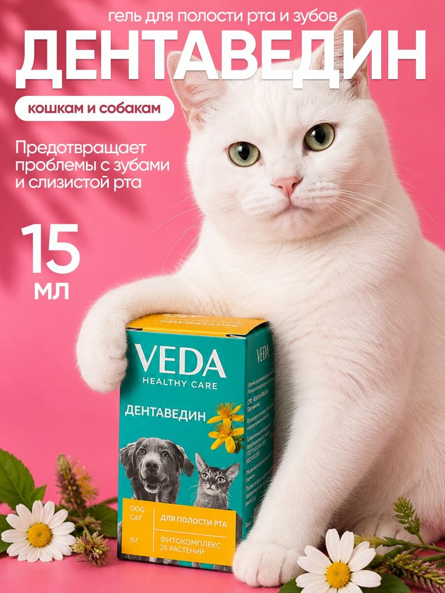 Гель для полости рта и зубов собак и кошек дентаведин, зоогигиеническое средство, 15г, 1 шт, VEDA