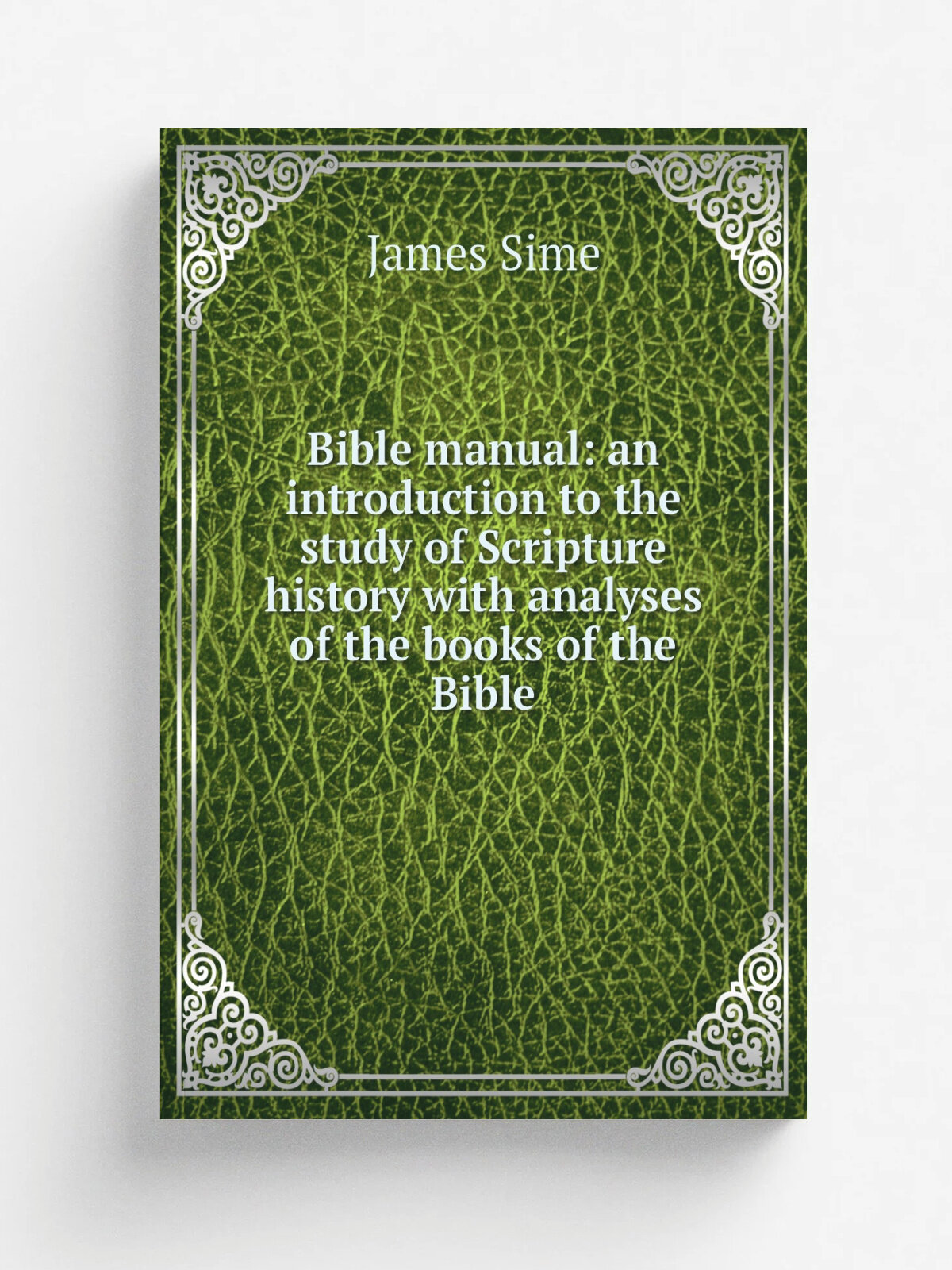Bible manual: an introduction to the study of Scripture history with analyses of the books of the Bible