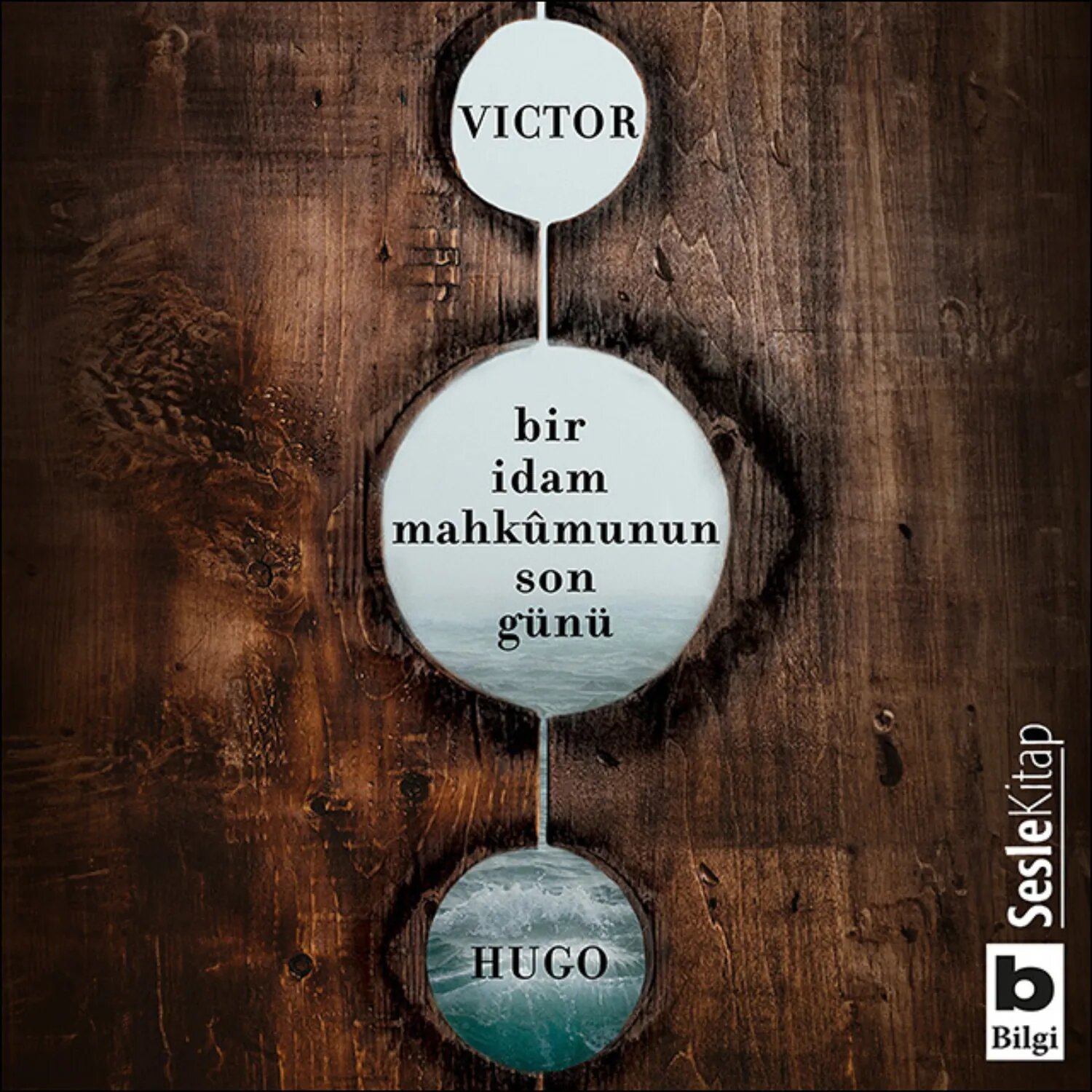 Bir İdam Mahkumunun Son Günü [Аудиокнига]