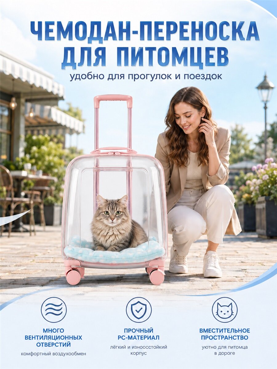 Чемодан‑переноска для питомцев с вентиляционными отверстиями, вместительный прозрачный контейнер на колёсах, удобный аксессуар для путешествий с котом или собакой