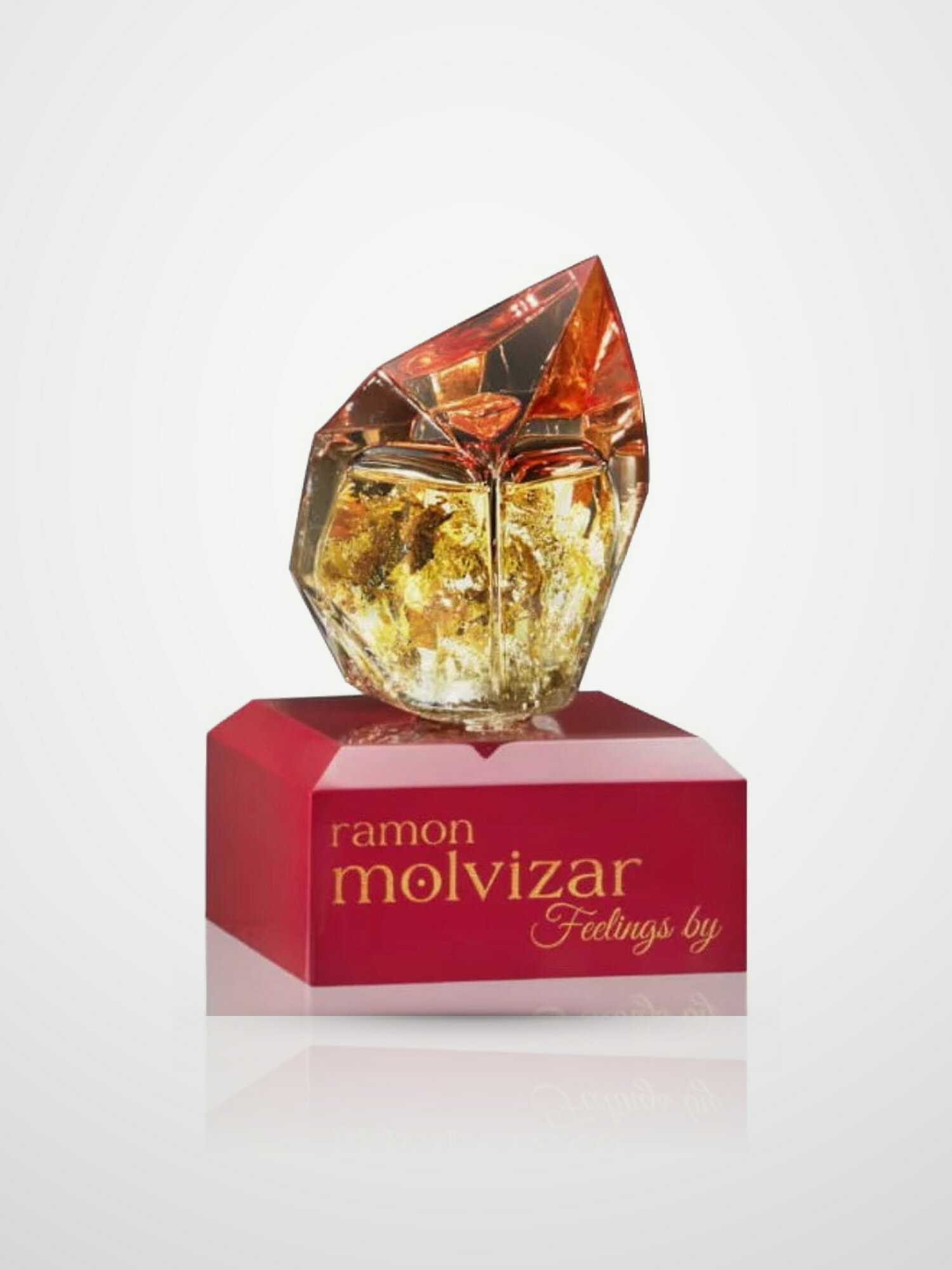 Парфюмерная вода Ramon Molvizar Feelings Eau de Parfum унисекс 75 мл