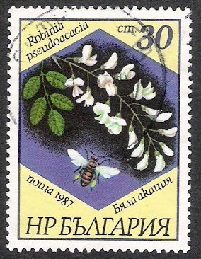 (1987-048) Марка Болгария "Робиния псевдоакация " Пчелы и растения III
