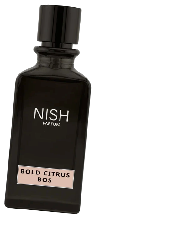 Nish Parfum Bold Citrus парфюмерная вода мужская 80 мл / Ниш Парфам Болд Цитрус