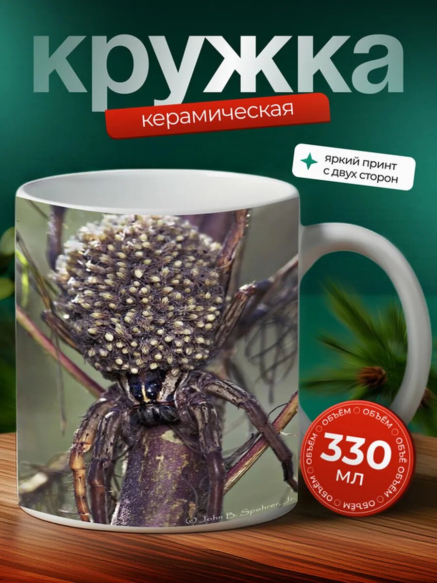 Кружка Каракурт паукообразное 9,