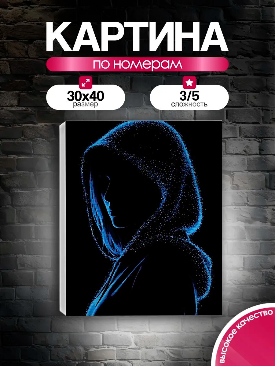 Картина по номерам 30x40 Таинственная незнакомка