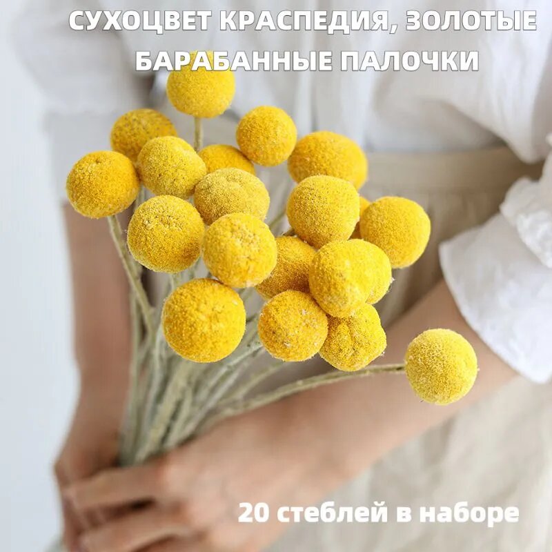 Сухоцветы, 45 см, 100 гр