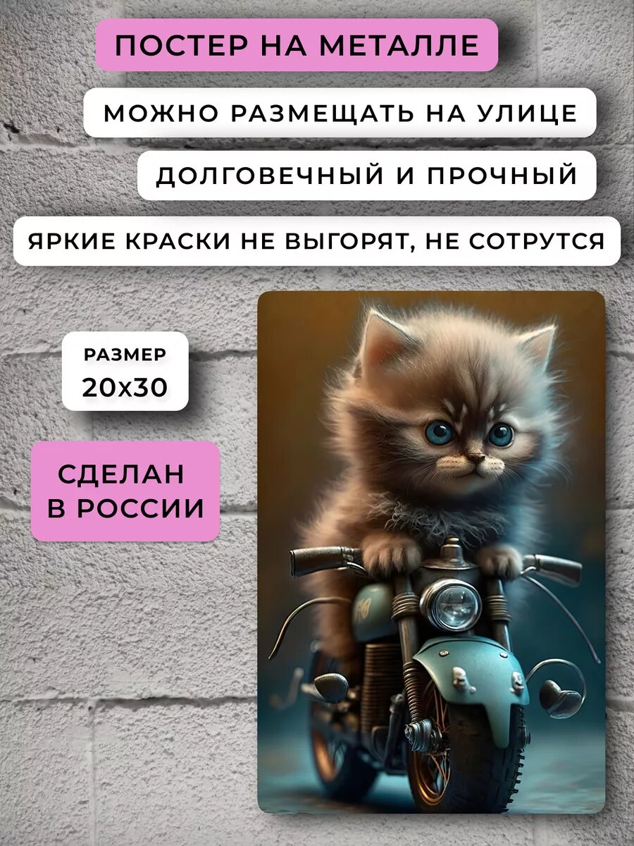 Постер кот байкер — фото 1
