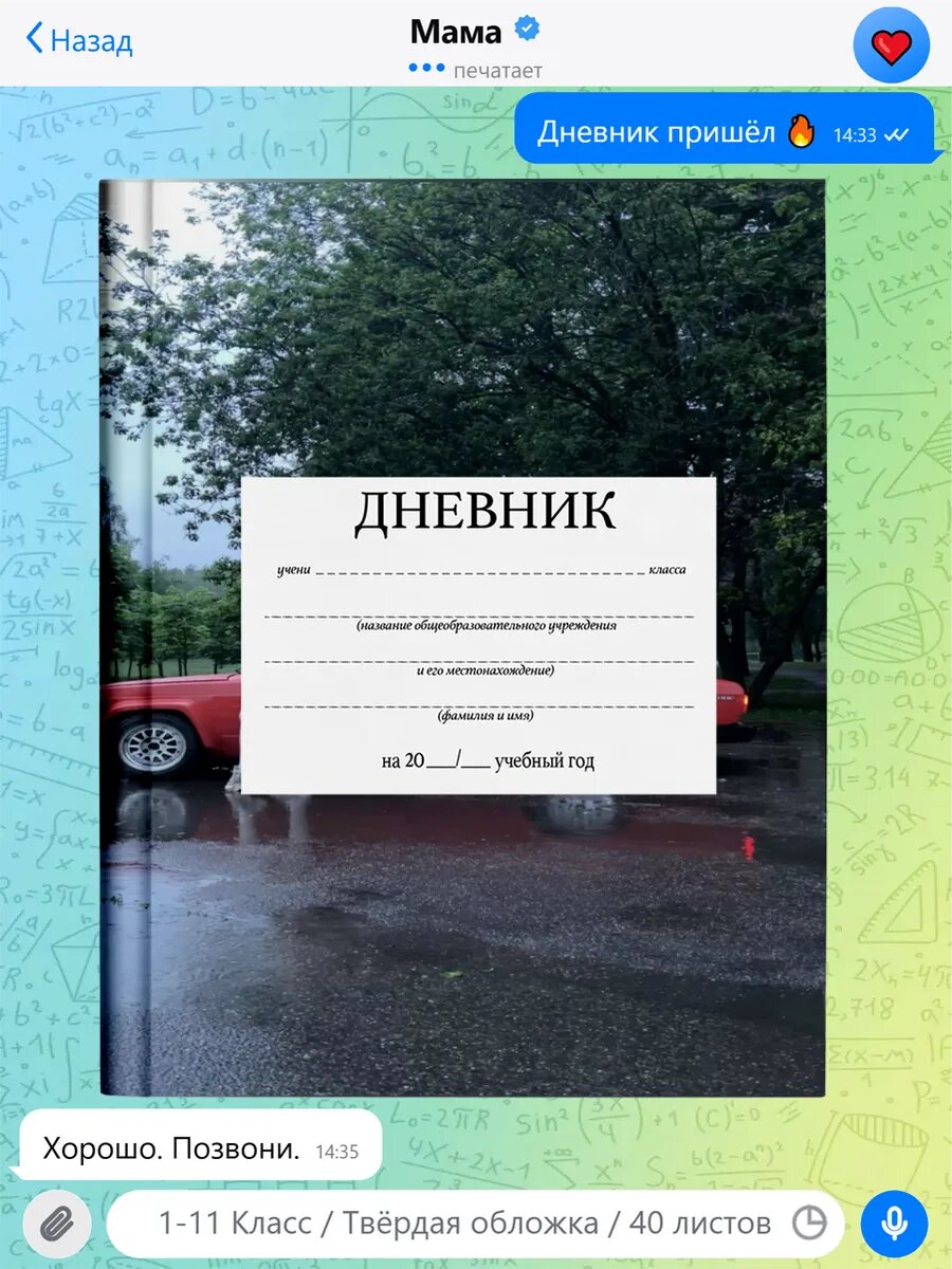 Школьный дневник с принтом Роблокс