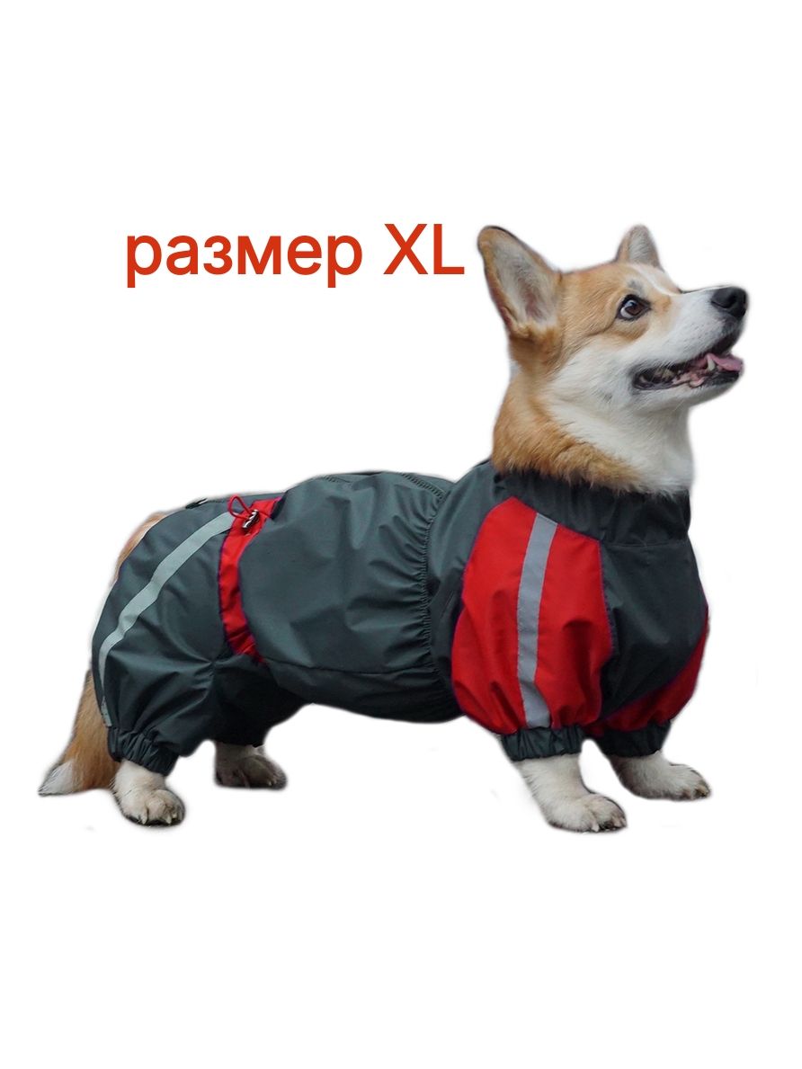 Комбинезон мембранный для Корги на девочку