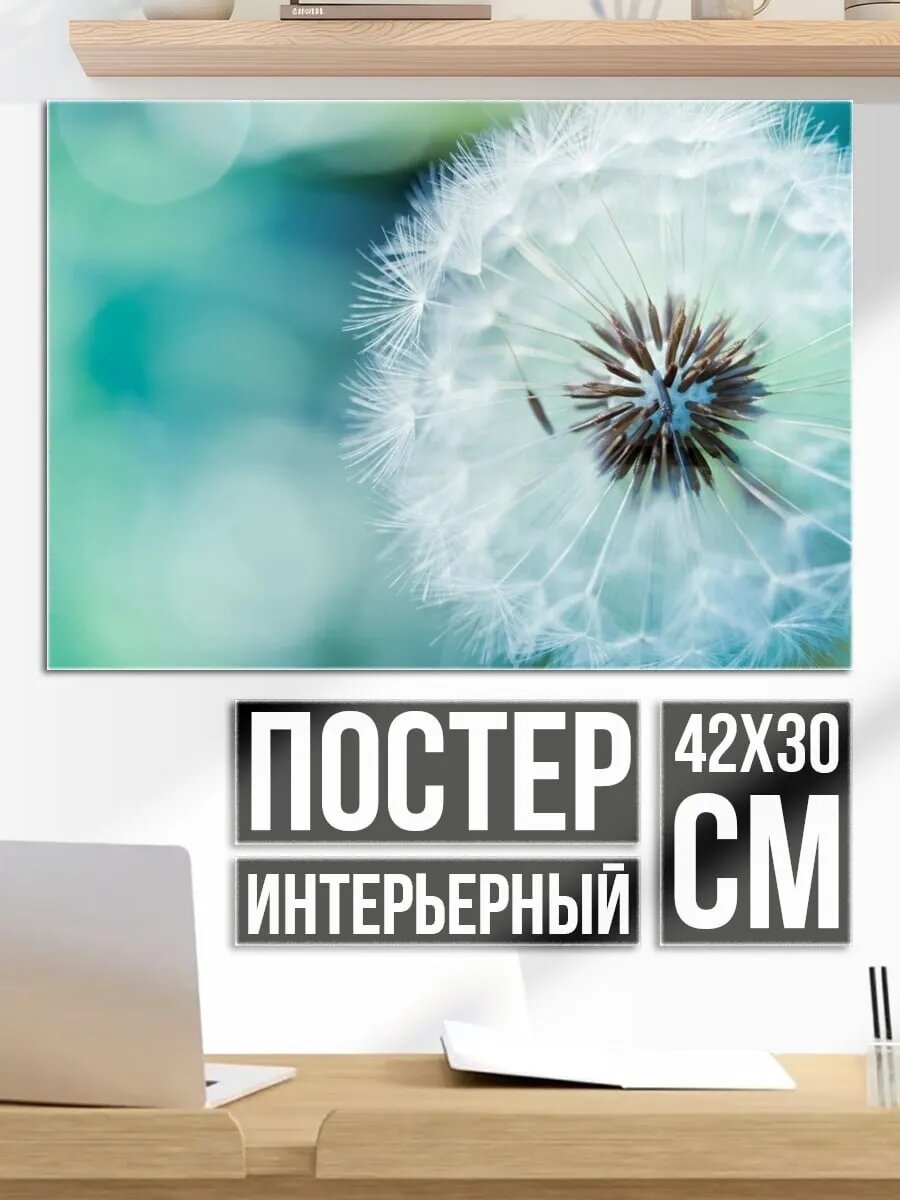 Плакат постер Одуванчик на ветру