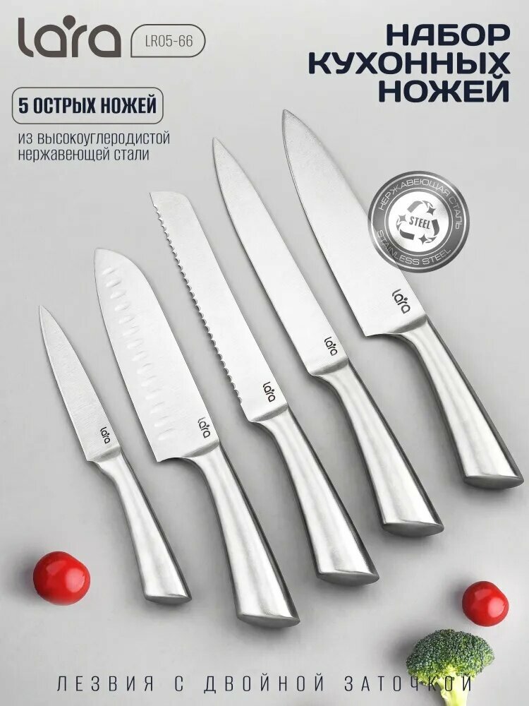 Набор ножей кухонных 5 предметов LR05-66