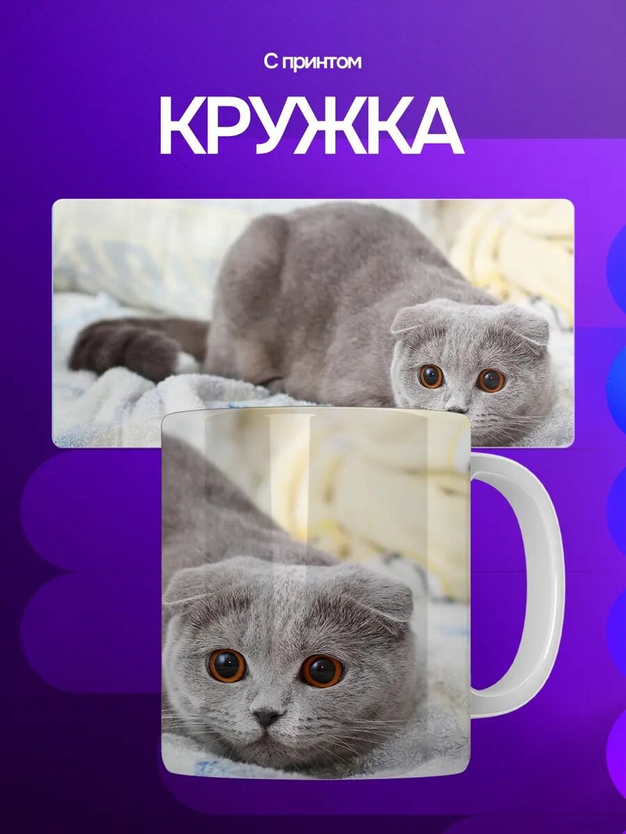 Милая Кружка с рисунком Котик