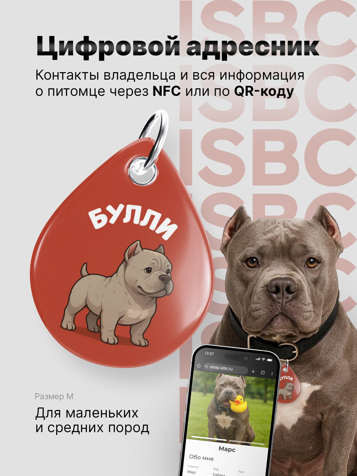 Цифровой Адресник для собак от ISBC с NFC и QR-кодом, Американский булли