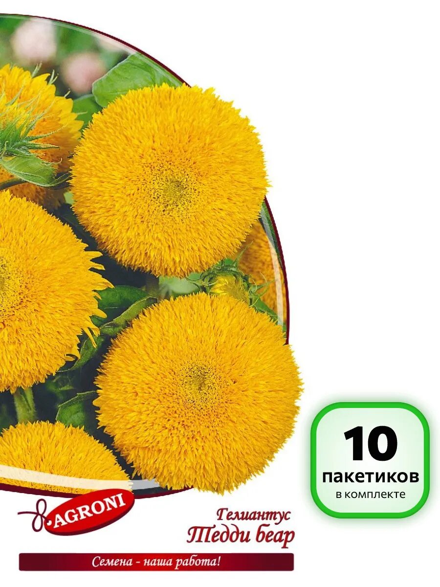 (10 шт.) - Семена Подсолнечник Тедди беар (1г)