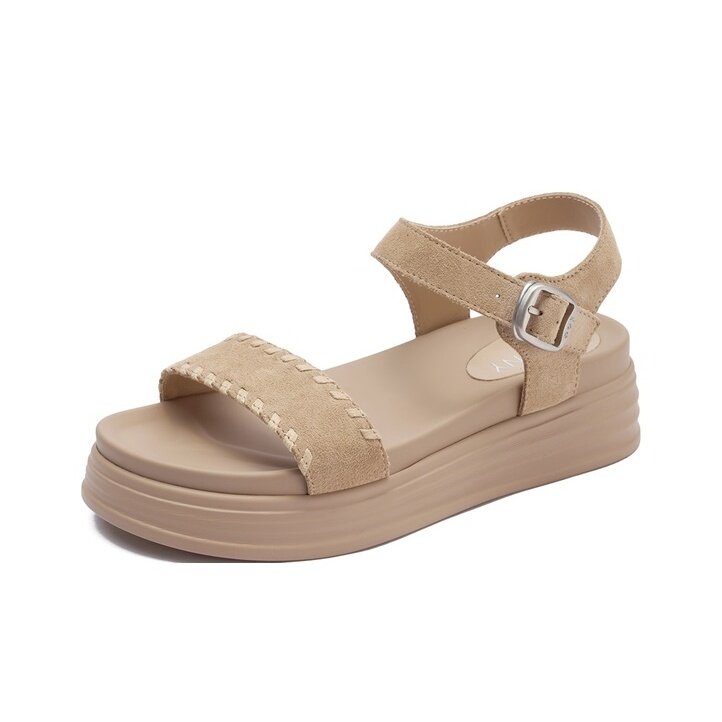 Сланцы