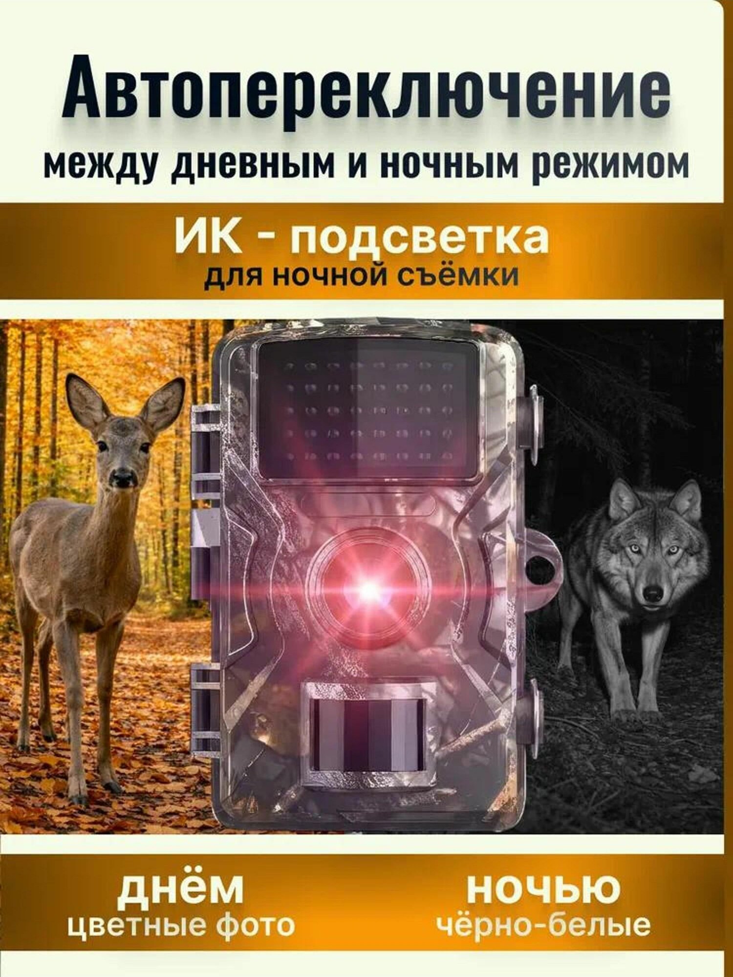 Фотоловушка — фото 1