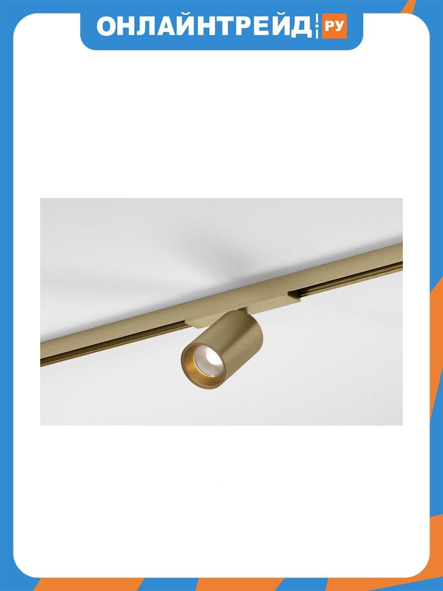 Трековый светильник Elektrostandard Brass Line 85525/01 a069633