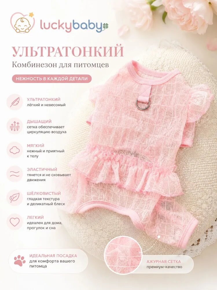 Одежда для домашних животных, футболки-кюлоты