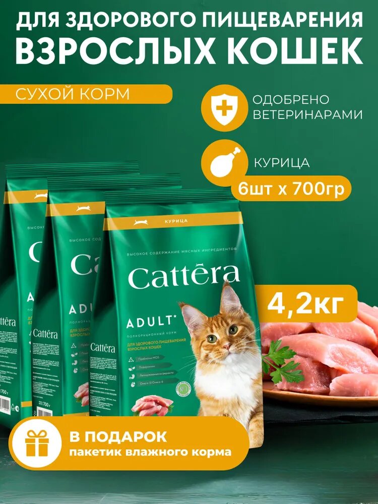 Сухой полнорационный корм для здорового пищеварения взрослых кошек CATTERA с курицей, 700 гр, 6 шт + 1 пакетик влажного корма