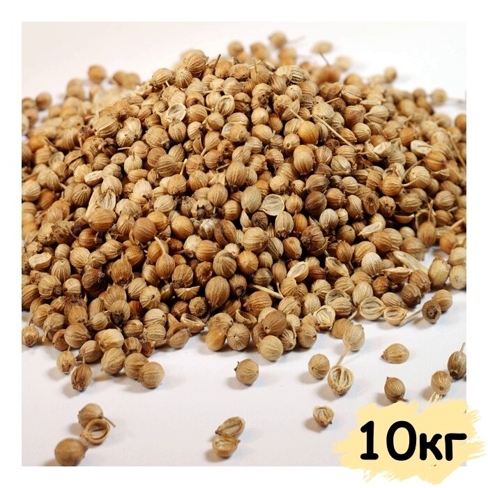 Кориандр зерно (целый) 10 000 гр, 10 кг, Вегетарианский продукт, Vegan