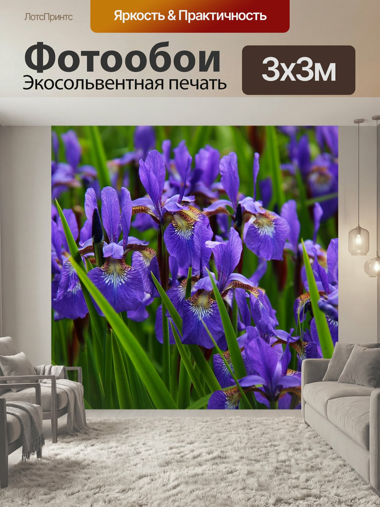 Фотообои "Ирис, цветок, цветочный" 300x300 см. экосольвентная печать