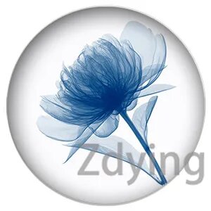 Стеклянные кабошоны Zdying 5 шт.