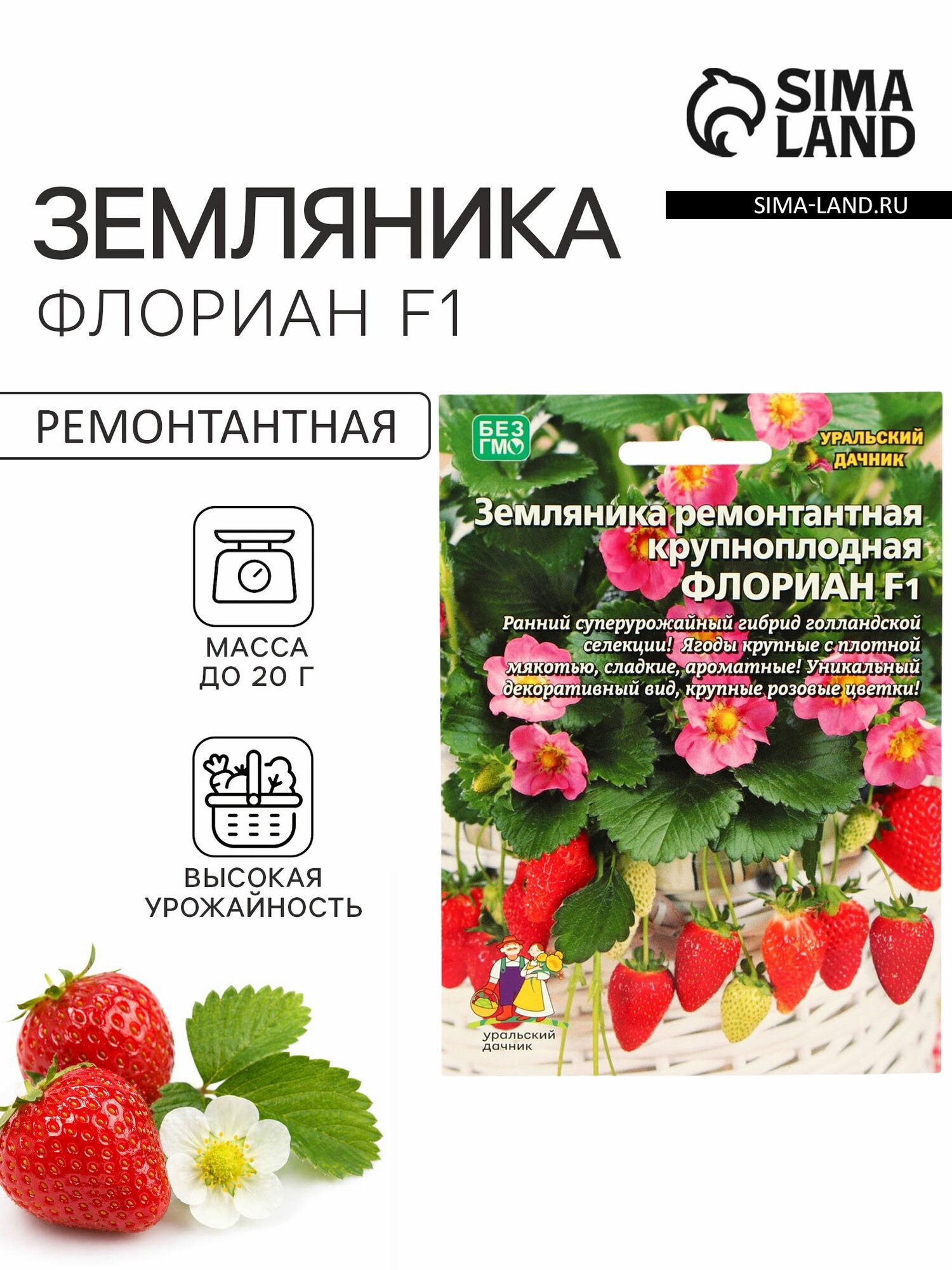 Семена Земляника ремонтантная "Флориан", F1, крупноплодная, 5 шт.
