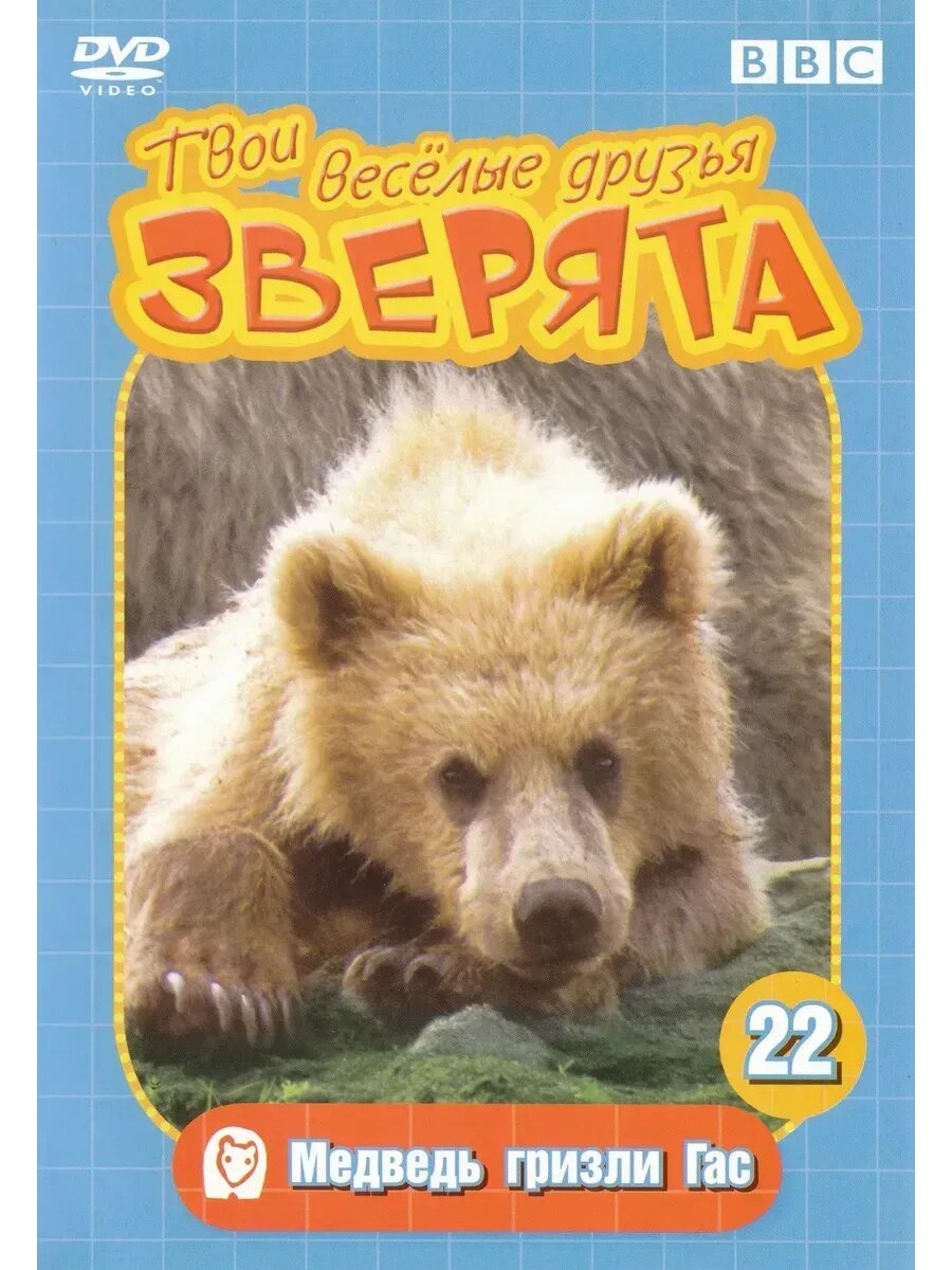 BBC: Твои веселые друзья зверята: Медведь (флешка)
