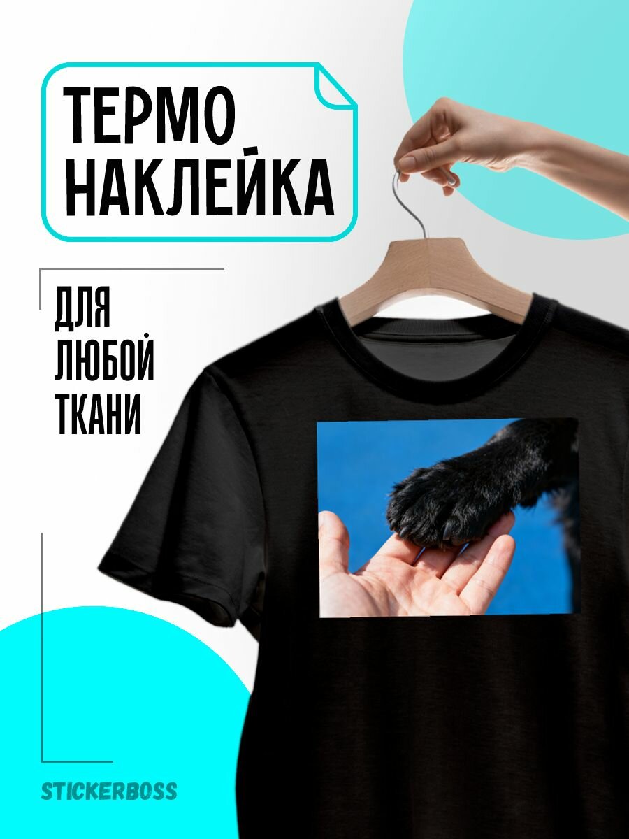 Термонаклейка термотрансфер на одежду преданный друг