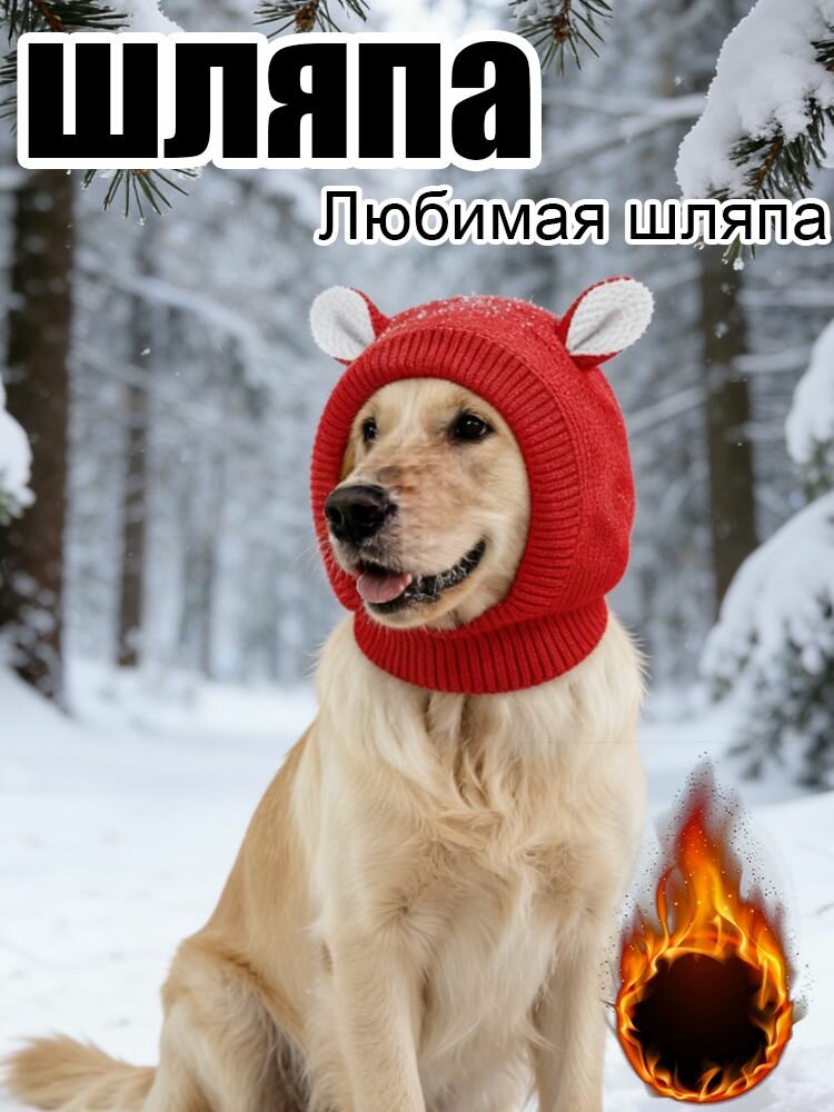 Шапка для собак: теплая зимняя шапочка для питомца