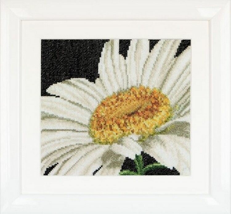 Набор для вышивания Ромашка, канва аида 18 ct 15 x 14 см THEA GOUVERNEUR 490A