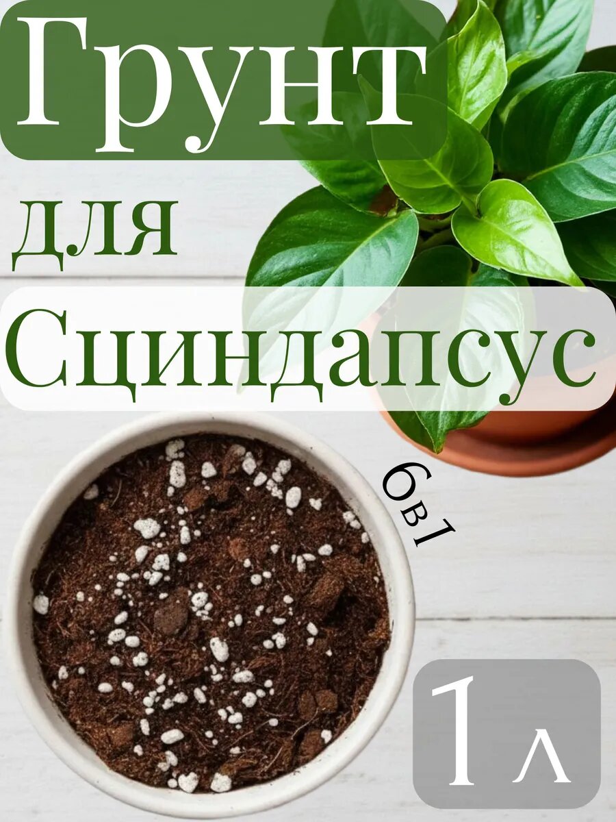 Готовый грунт для Сциндапсус 1 литр