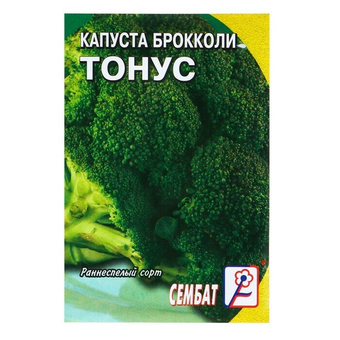 Семена Капуста брокколи 'Тонус', 0,5 г