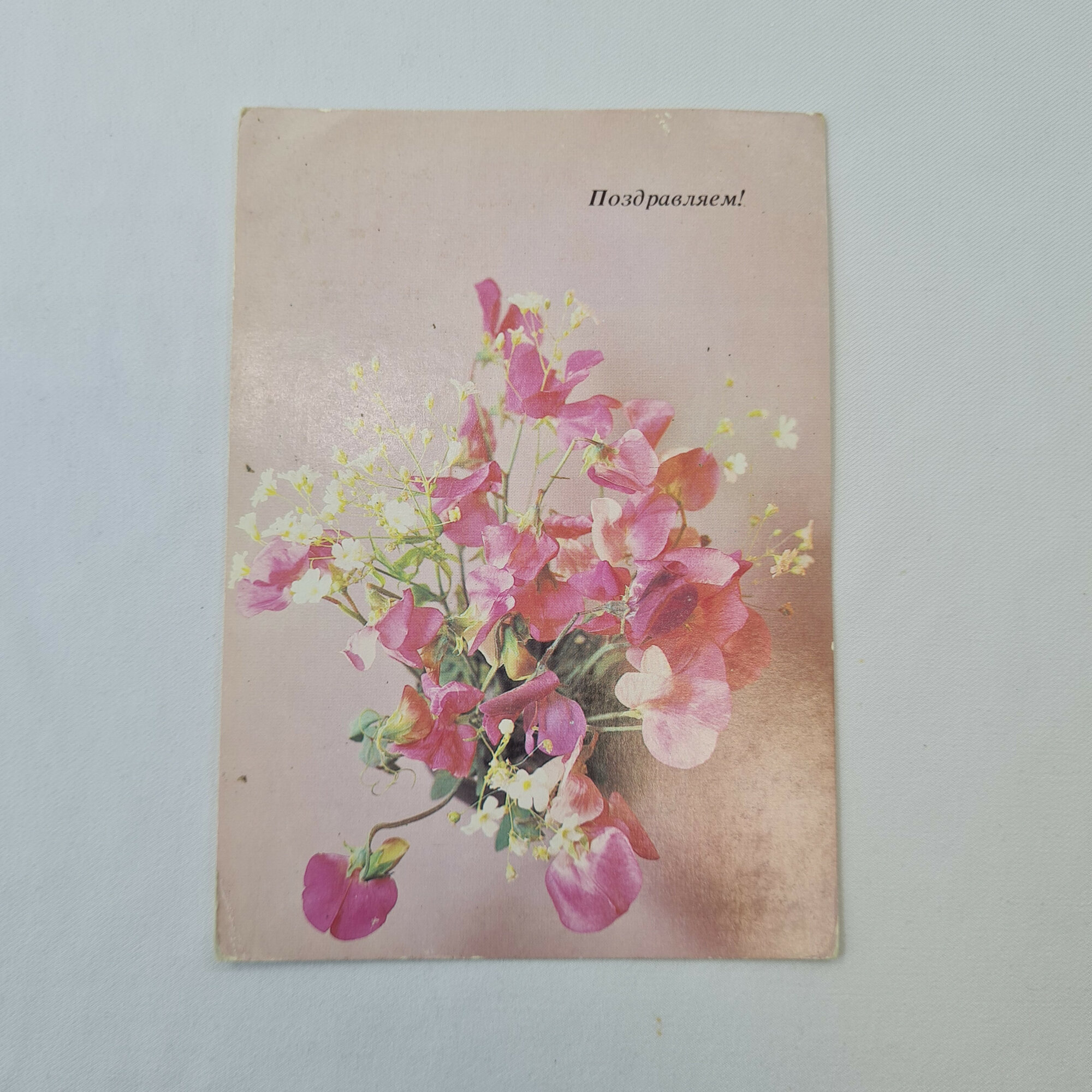 Открытка советская СССР, старинная. Поздравляем, цветы душистый горошек. Винтажная открытка