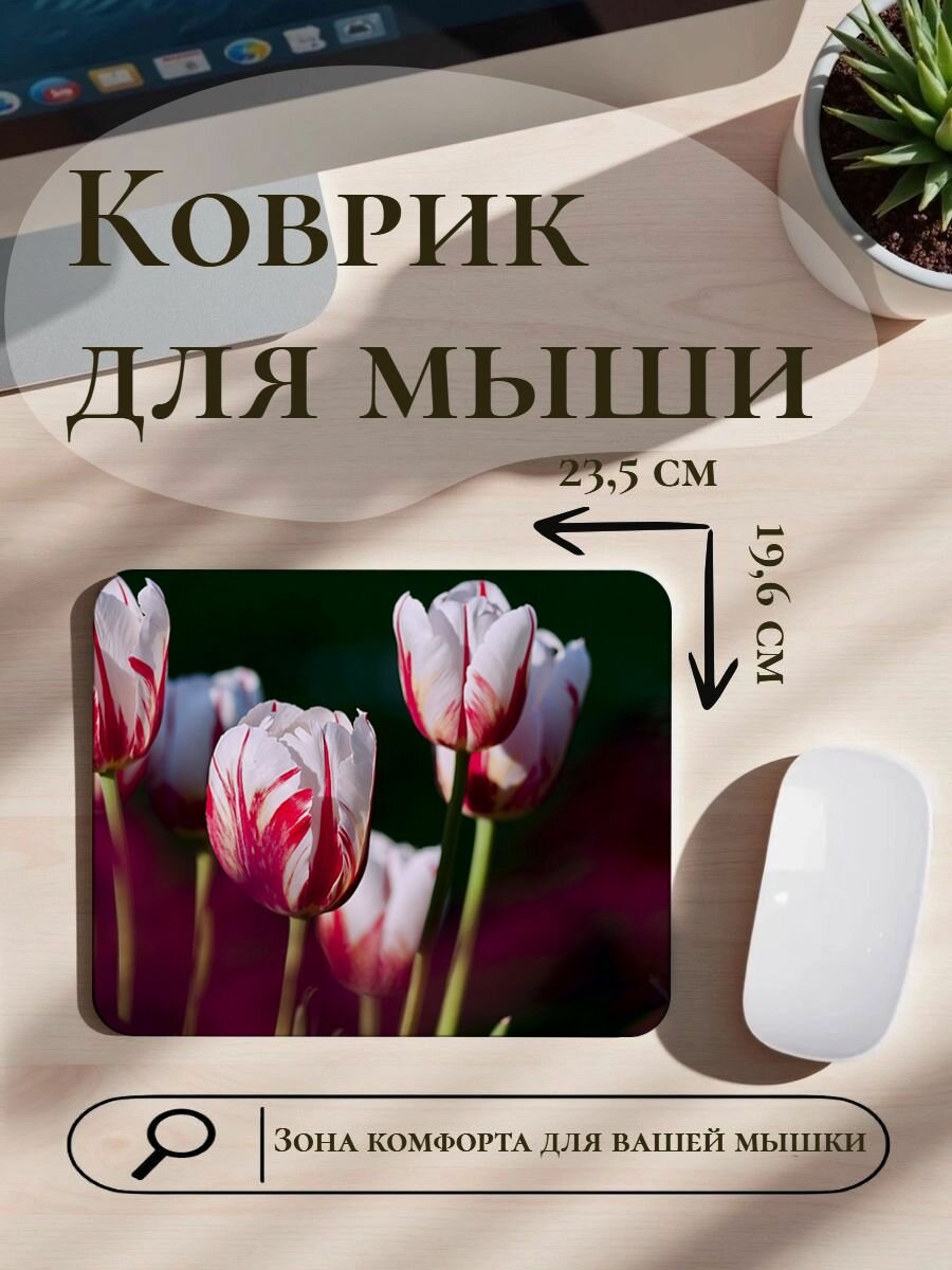 Коврик для мыши красные и белые тюльпаны