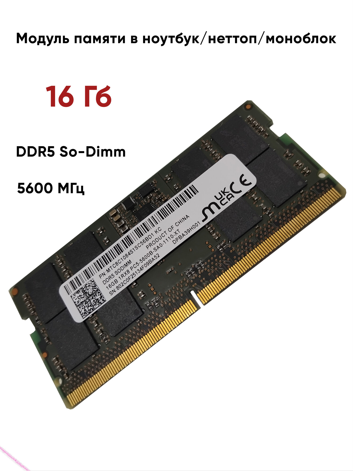 Оперативная память MT для ноутбука DDR5 SODIMM, 5600МГц, 1x16 ГБ [MTC8C1084S1SC56BD1 KC]