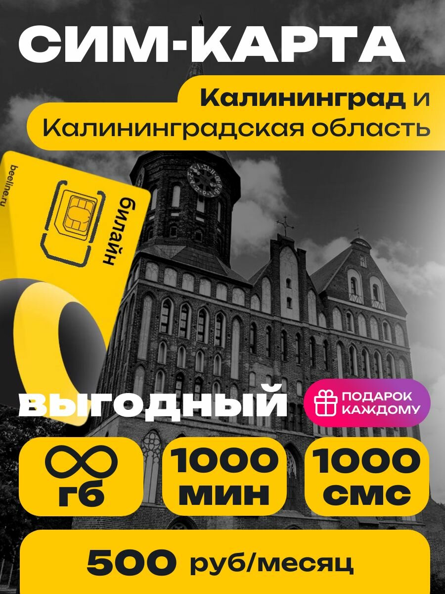 Сим-карта Билайн тариф Выгодный Калининградская область Безлимитный интернет и 1000 минут за 500 руб.