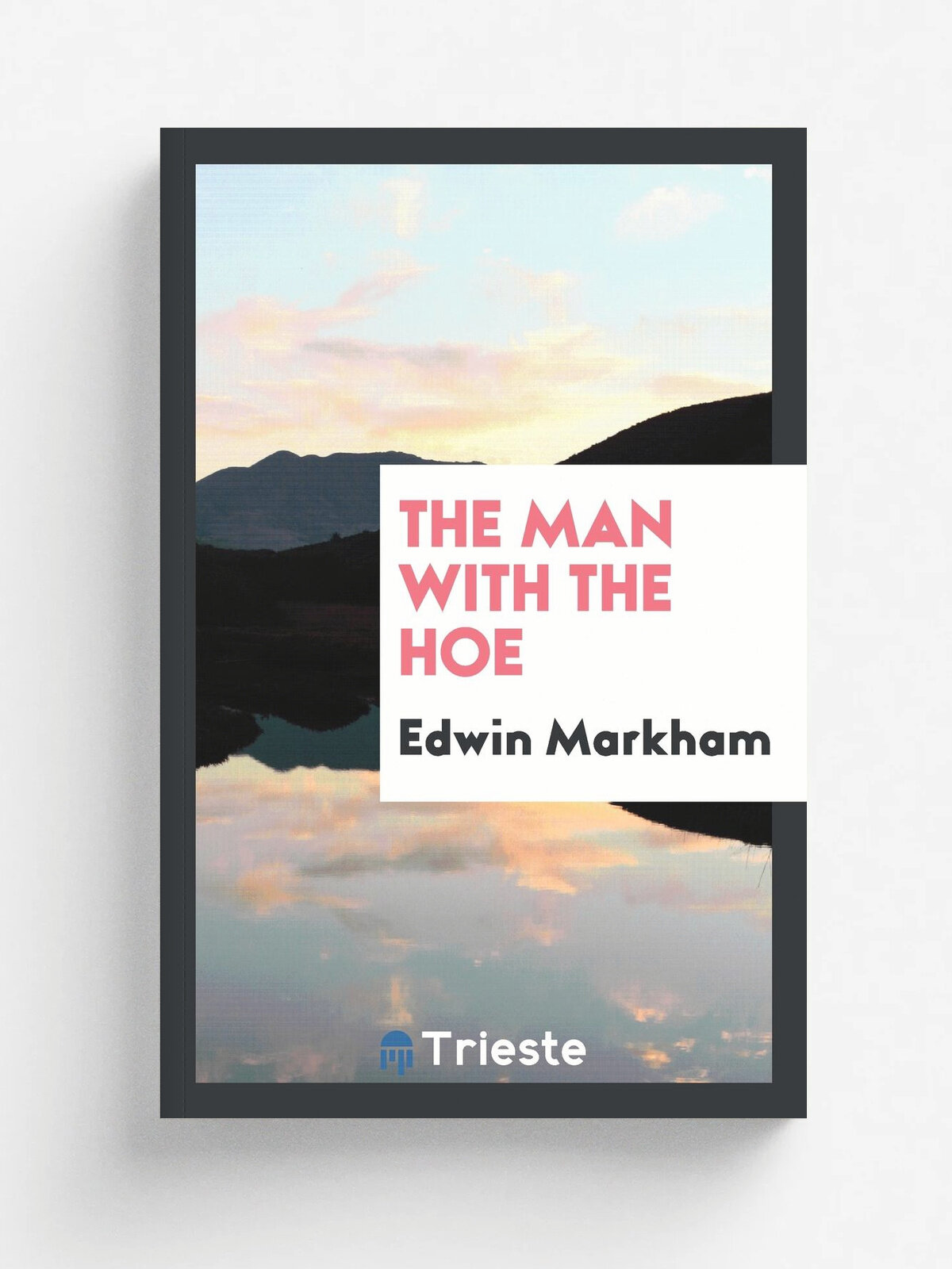 The man with the hoe