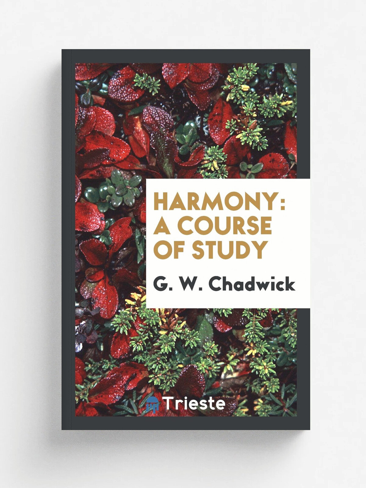 Harmony. A Course of Study